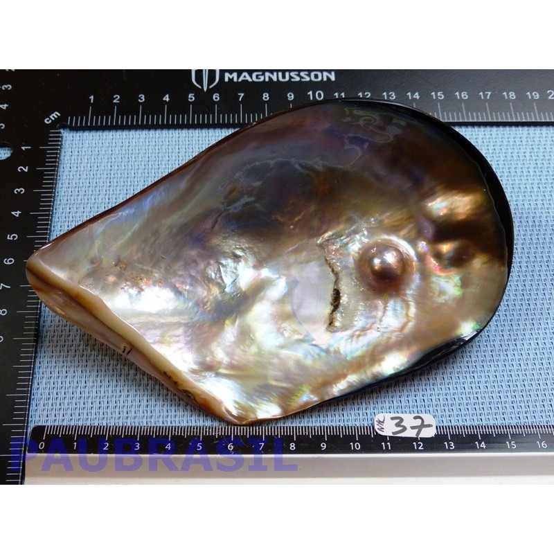 Nacre avec Perle - Ecrins à bijoux, pierres, encens, sauge blanche.