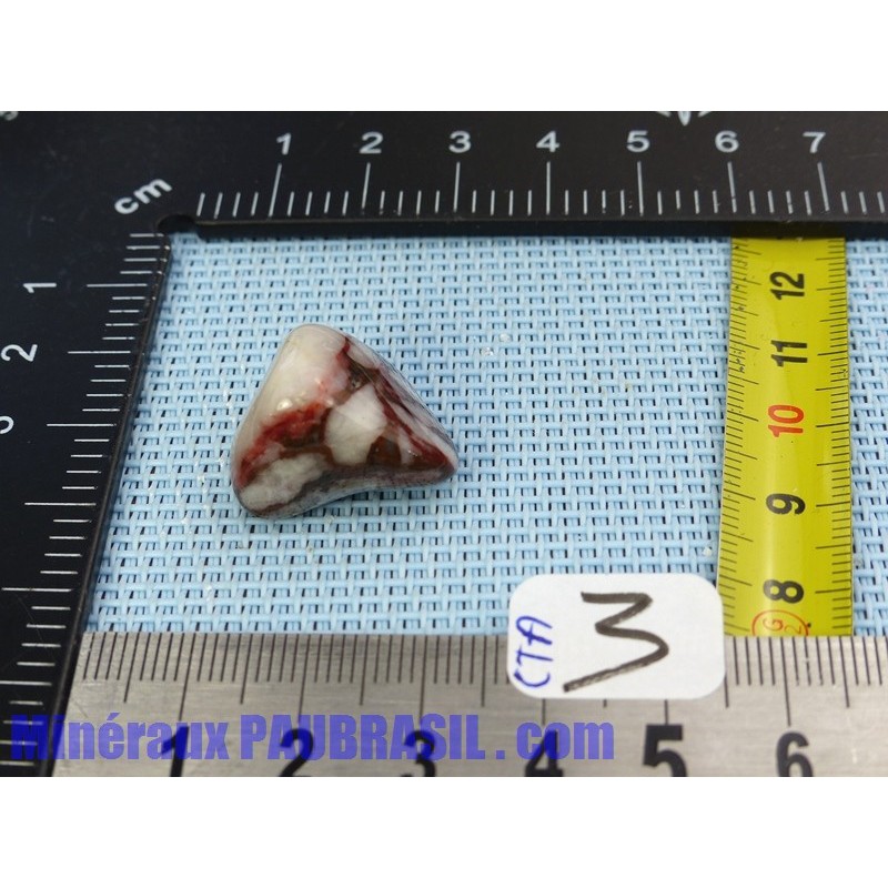 Cataclasite Impactite de Namibie en pierre roulée. Minéraux rares.