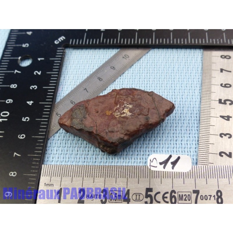 Tsesite ou "Ecriture du Désert" nous relie à l'histoire du monde.